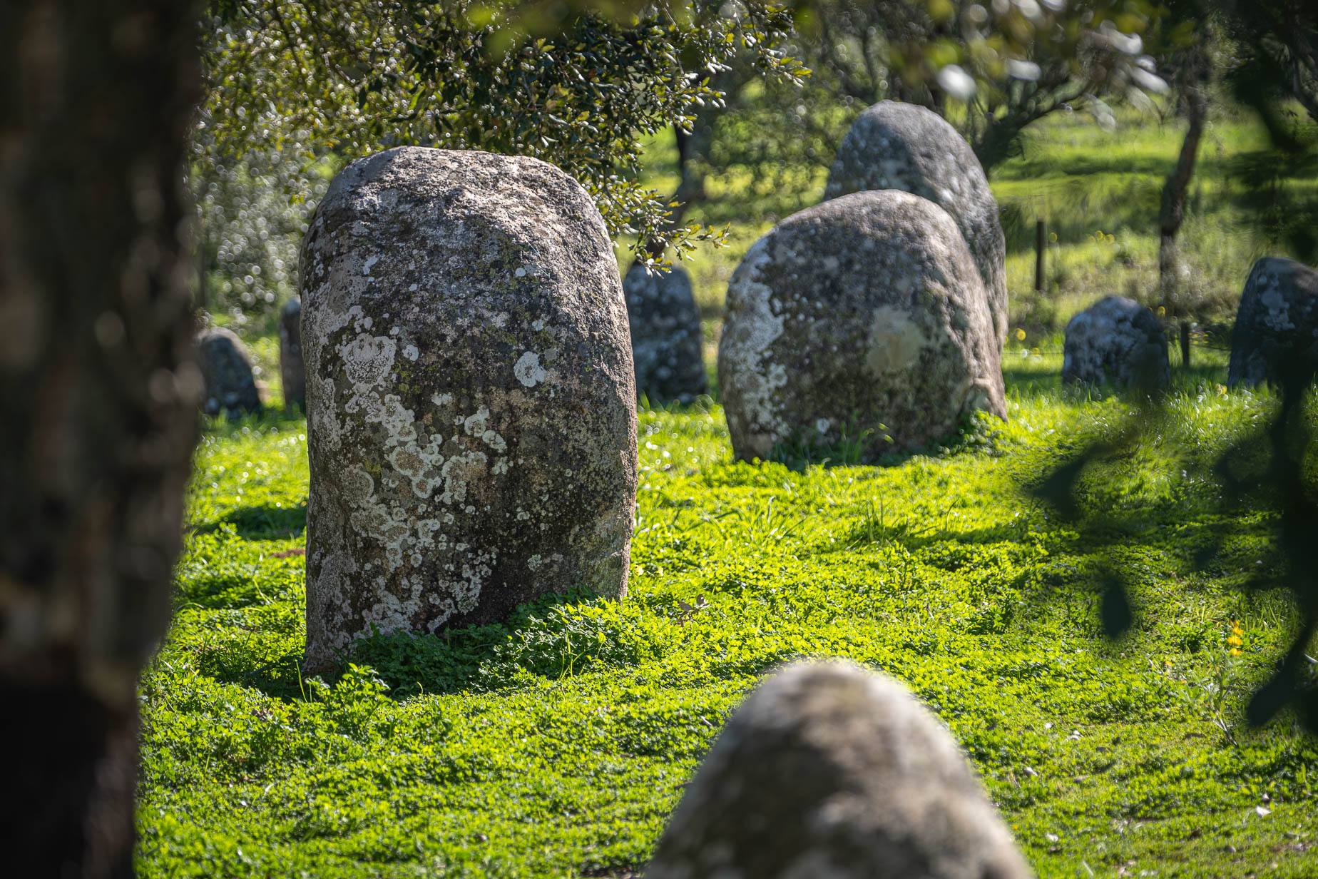 Almendres Cromlech, Èvora - Anna Forsberg i Portugal